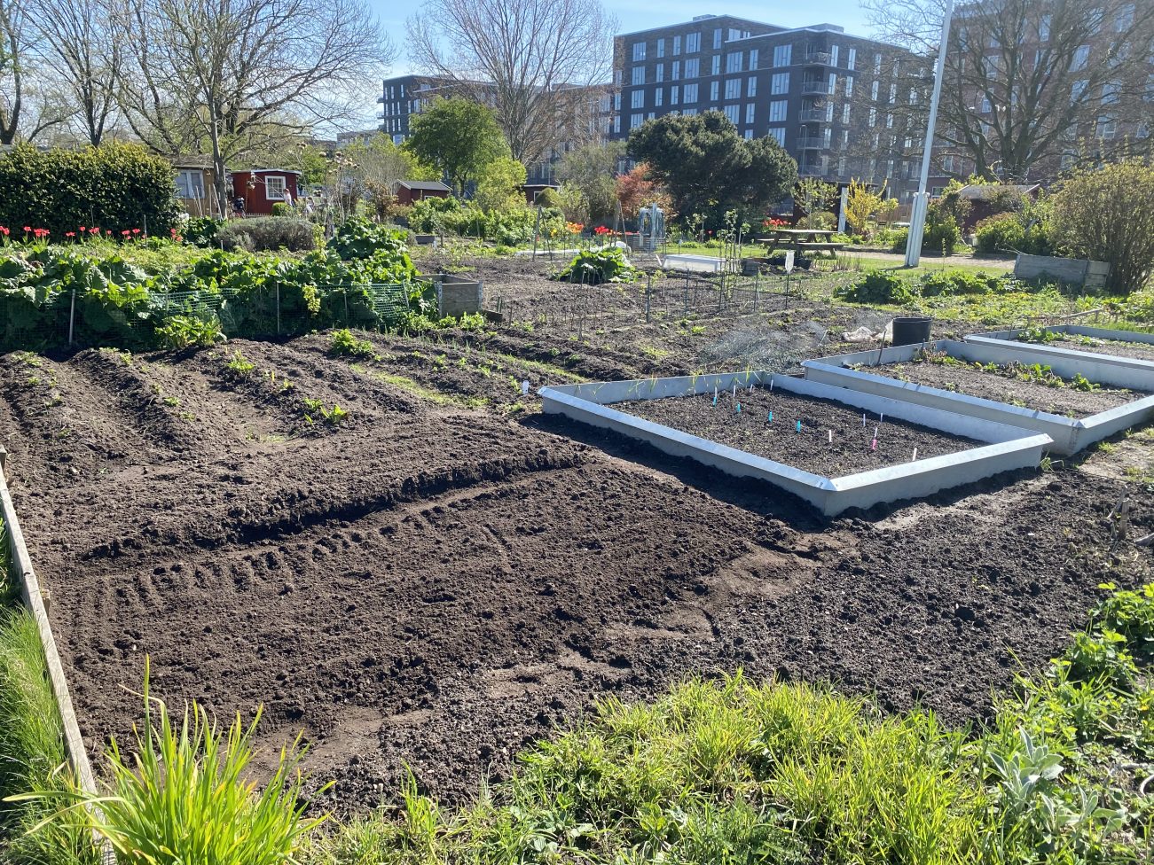 Hvad er en nyttehave? - Kolonihaveforbundet