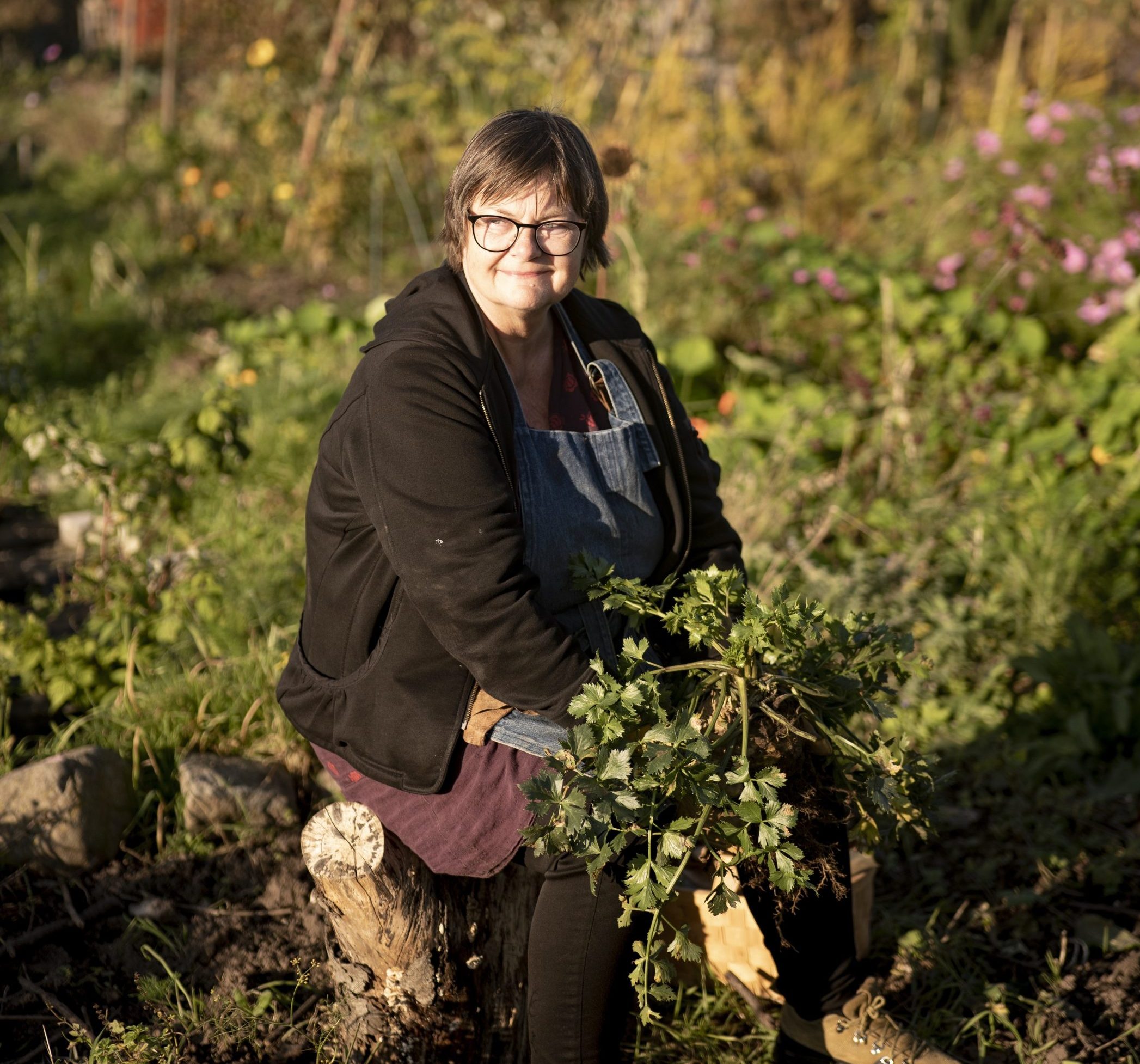 Den meditative have - Kolonihaveforbundet
